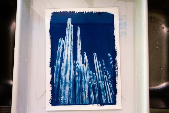 Make Sun Prints in the Desert - The Practicalities: Pricing, Timing, and Accessibility