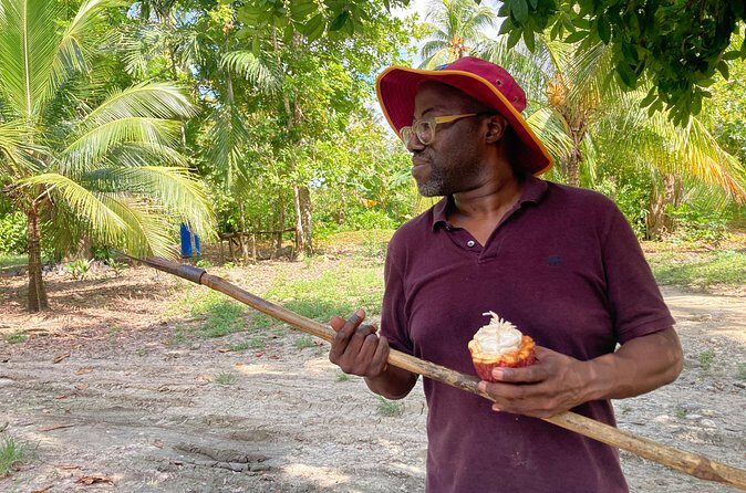 Make your own Bean to Bar Chocolate Factory Tour - Who Will Love This Tour?