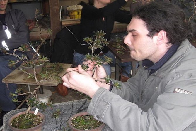 Make Your Own BONSAI With a Professional Artist in Tokyo - Learning Objectives
