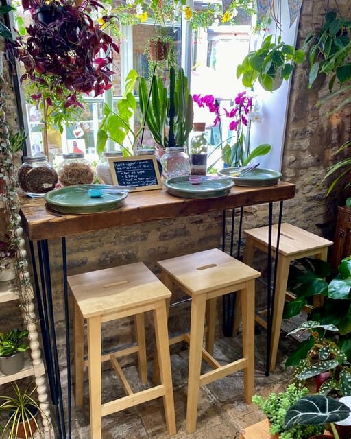 Make Your Own Terrarium in a houseplant paradise - Key Points