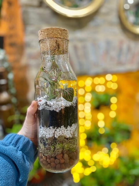Make Your Own Terrarium in a houseplant paradise - Who Will Love It