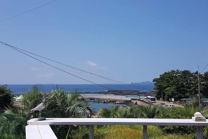 Making Jeju Pony Doll at Peaceful Seaside cafe - FAQ