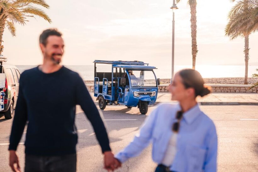 Málaga 1-hour by TukTuki: Essential and Private Tour - Who Should Consider This Tour?