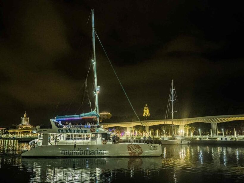 Malaga: A Sea of Stars Nighttime Stargazing Catamaran Tour - Key Points