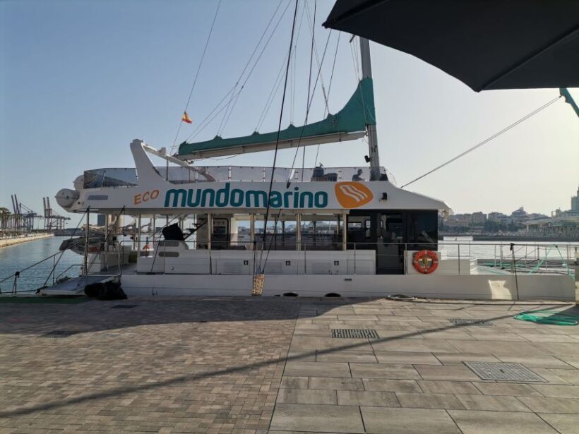 Malaga: A Sea of Stars Nighttime Stargazing Catamaran Tour - Authentic Experiences and Guest Perspectives