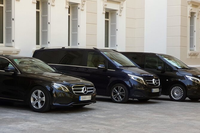 Malaga Airport (Costa del Sol) Private Arrival Transfer - Key Points