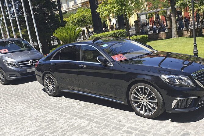 Malaga Airport (Costa del Sol) Private Arrival Transfer - FAQ