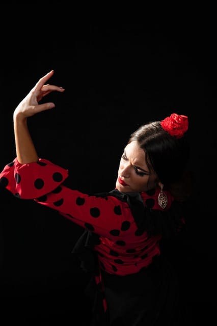 Malaga: Authentic Flamenco Dinner Show at Vino Mio - Insights from Reviews