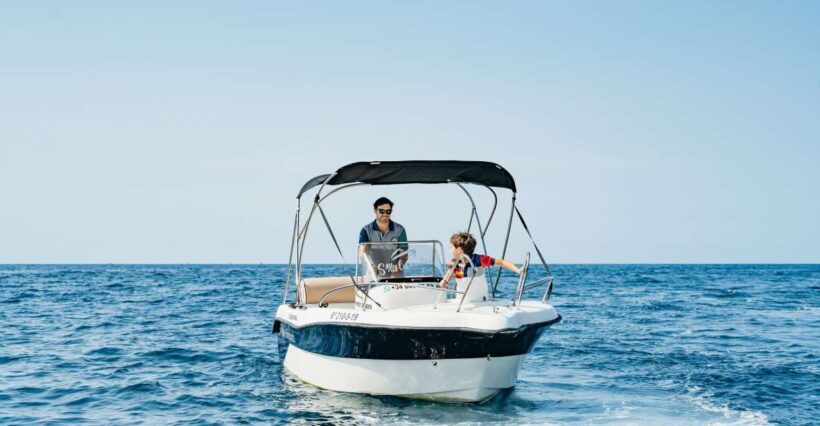 Malaga: Boat Rental without a License for Dolphin Watching - Key Points