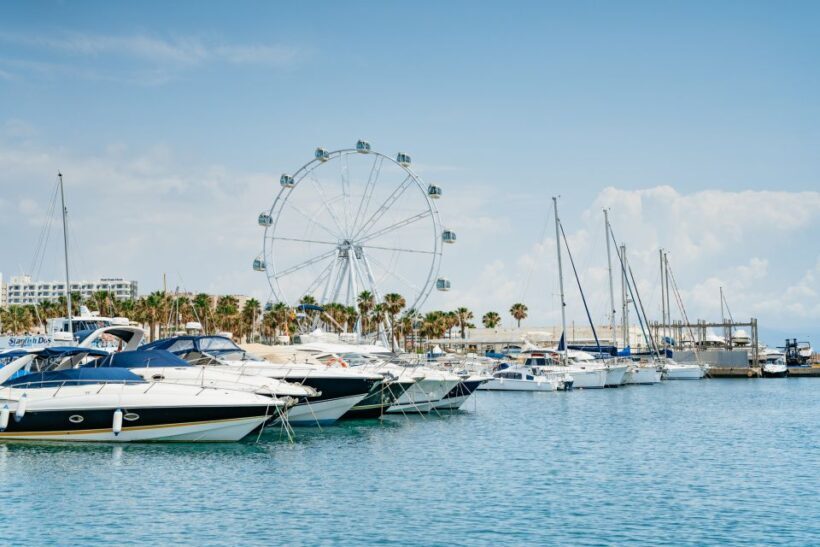 Malaga: Boat Rental without a License for Dolphin Watching - What to Expect During Your Trip