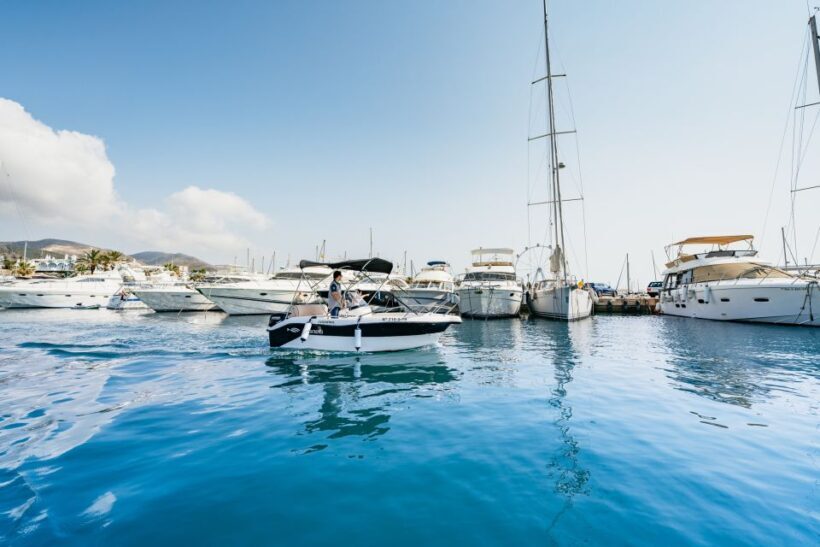 Malaga: Boat Rental without a License for Dolphin Watching - The Practical Side: Logistics, Safety, and Tips