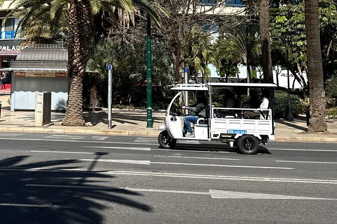 Malaga by Tuk Tuk i : 1 or 2 hours Private city tour - Final Thoughts