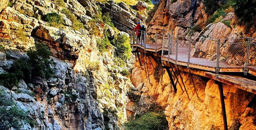 Málaga: Caminito del Rey Guided Tour with Transportation - The guides are praised repeatedly for their engagement, humour, and depth of knowledge. One reviewer describes a guide as “friendly, fun, and full of interesting info,” transforming the walk into a lively, educational outing.