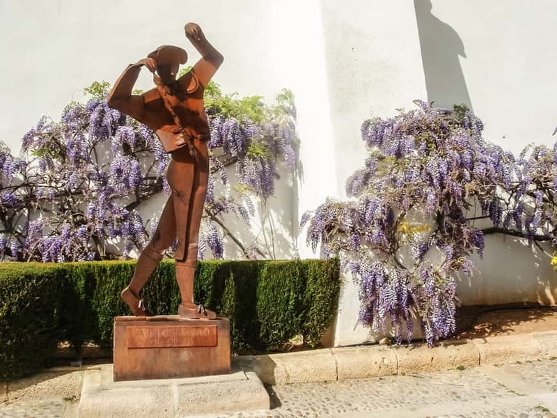 Málaga & Costa del Sol: Ronda and Setenil de las Bodegas - What’s Included and What’s Not