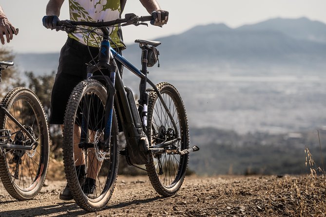 Malaga E-MTB Tour: Botanical Garden, Natural Park and Port of Malaga - Exploring the Botanical Garden