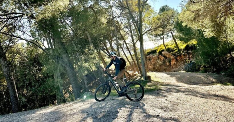 Málaga: "El Chorro" E-bike guided tour 2h (13km) - Who Should Consider This Tour?