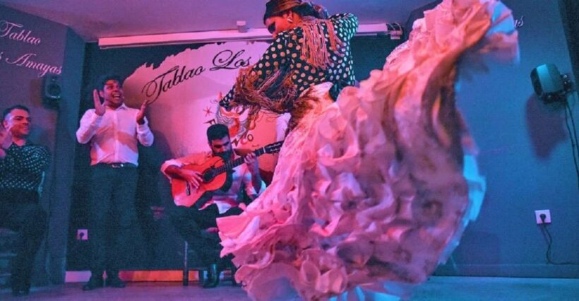 Málaga: Flamenco and City Highlights Guided Tour - Exploring Malaga’s Historic Heart