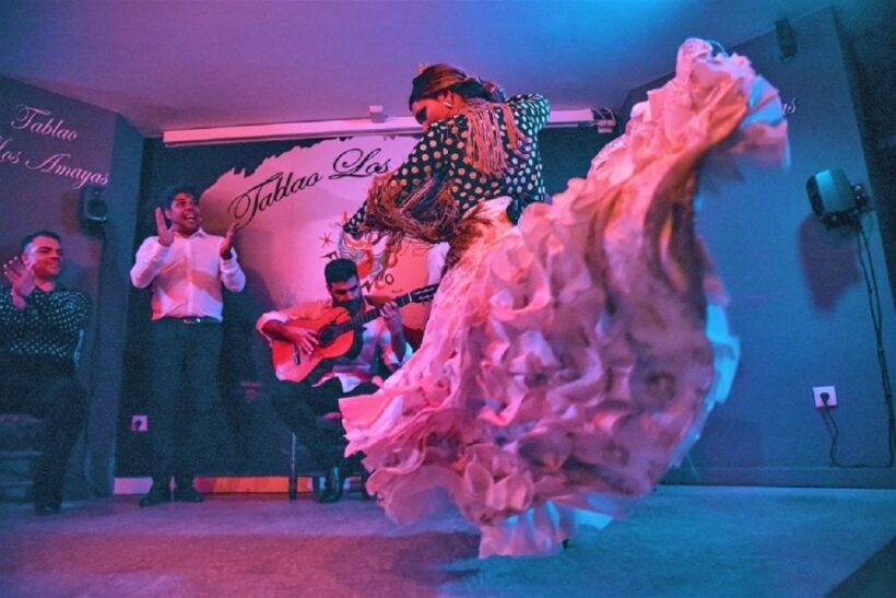 Málaga: Flamenco and City Highlights Guided Tour - Practical Details & What to Expect