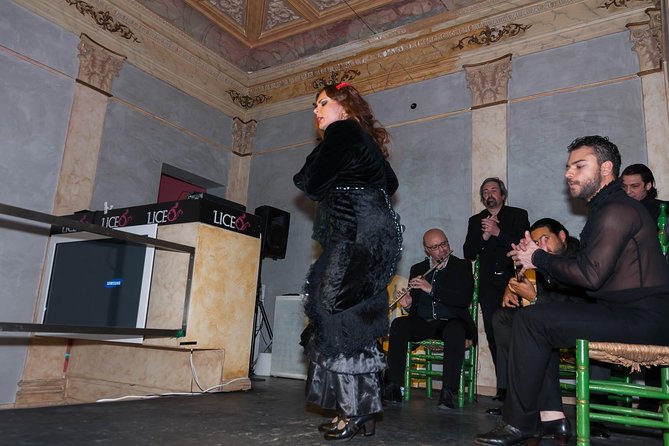 Malaga Flamenco Show - Introduction: A Flamenco Experience in the Heart of Malaga