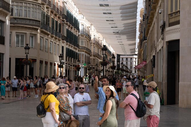 Malaga Full Group Tour With Tickets Included - Meeting and Pickup Details