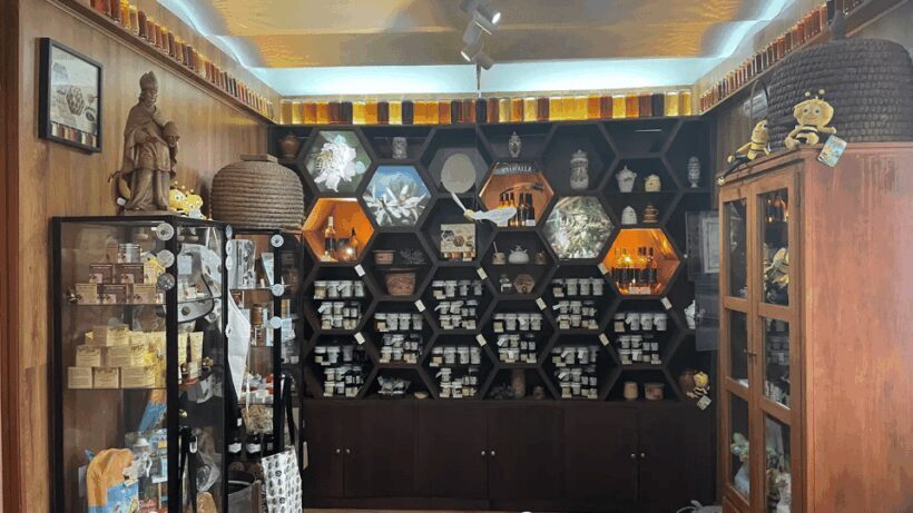 Malaga: Honey Museum Entry Ticket - An In-Depth Look at the Malaga Honey Museum