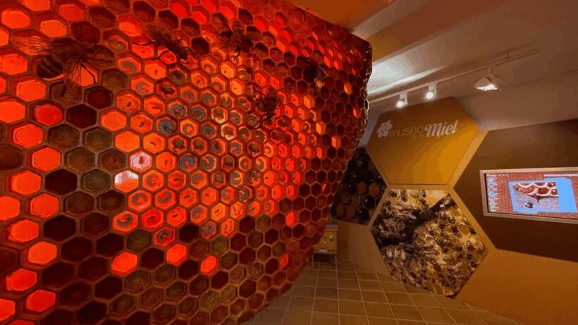 Malaga: Honey Museum Entry Ticket - FAQ