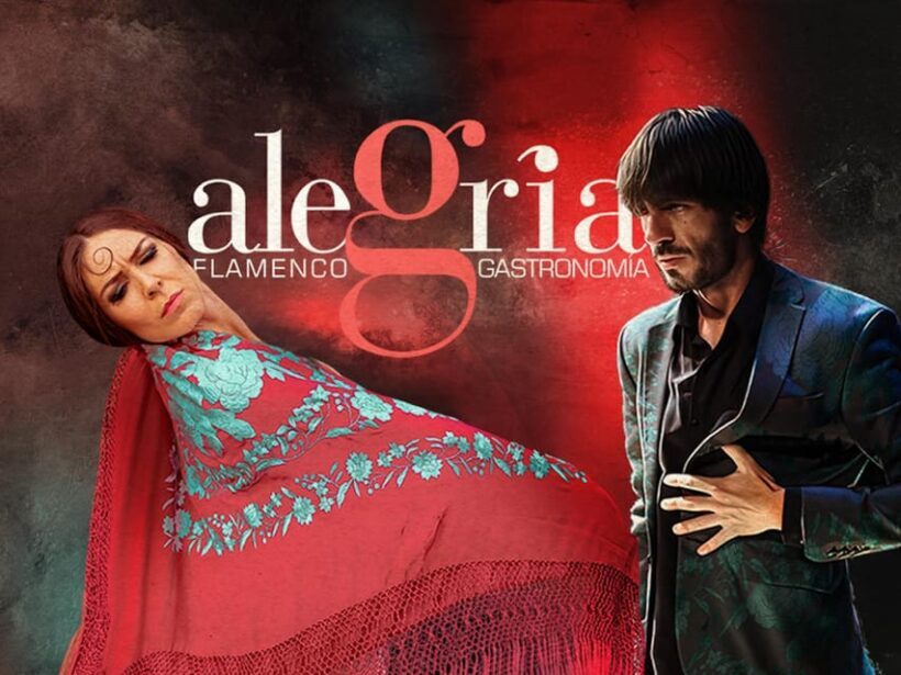 Málaga: Live Flamenco Show at Flamenco Alegría - What the Experience Looks Like