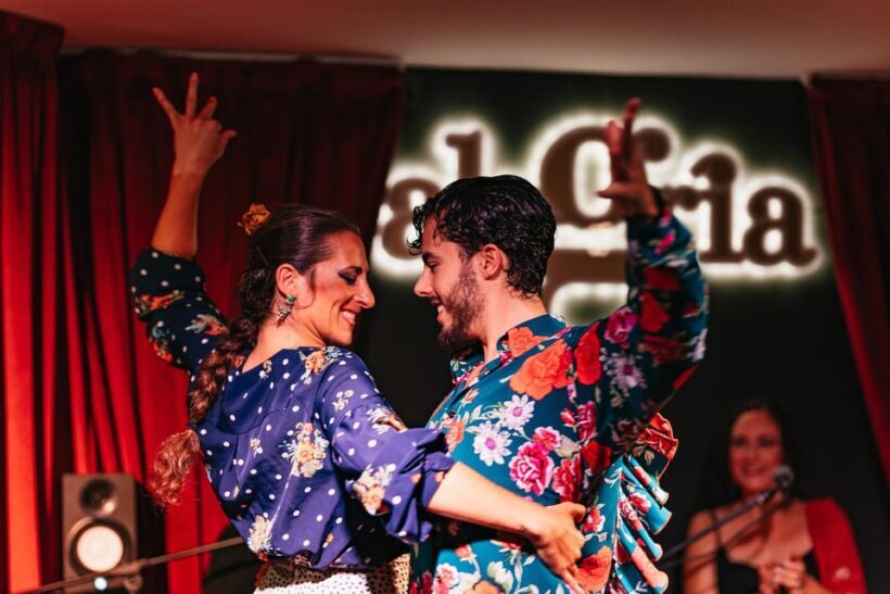 Málaga: Live Flamenco Show at Flamenco Alegría - Connecting with the Audience