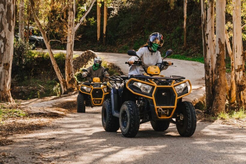 Malaga: Off-Road 3 hours Tour by 2-Seater Quad in Mijas - The Sum Up
