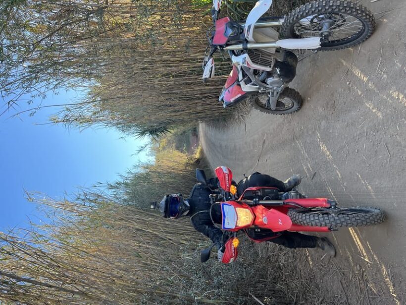 Málaga: One Day Off-Road Motorbike Tour - Key Points