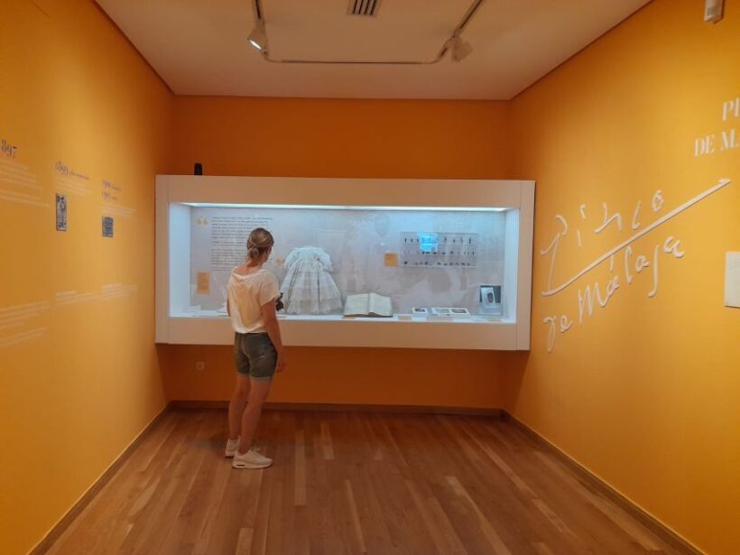Malaga: Picassos Birthplace Museum Entrance Ticket - Introduction