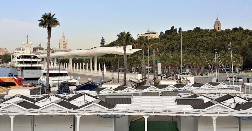 Malaga: Private walking tour - Authentic Experiences and Authentic Insights
