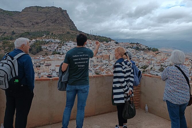 Malaga Small Group Tour With Wine Tasting, Culture & Vineyard - Tour Overview