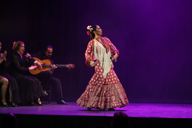 Malaga: Teatro Flamenco Malaga Live Flamenco Show - Key Points