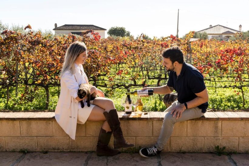 Malaga: Vineyard and Cellar Visit with 6 Top Wines and tapas - Key Points