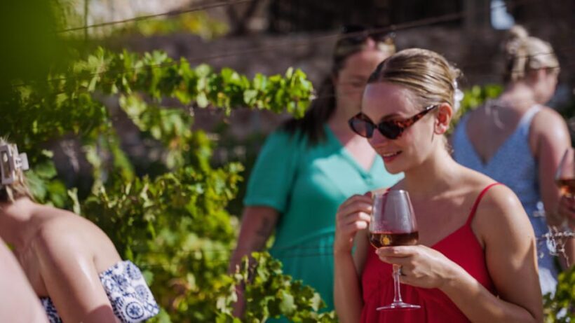 Malaga: Vineyard and Cellar Visit with 6 Top Wines and tapas - An Honest Breakdown of the Experience