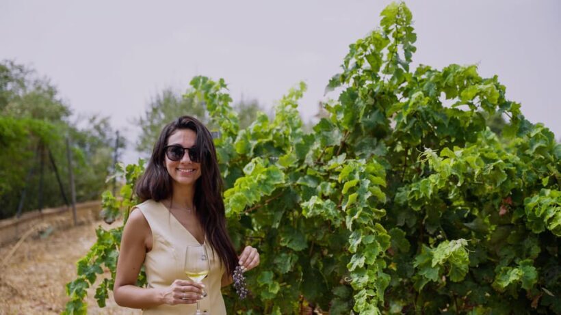 Malaga: Vineyard and Cellar Visit with 6 Top Wines and tapas - Pricing & Value — Is It Worth It?