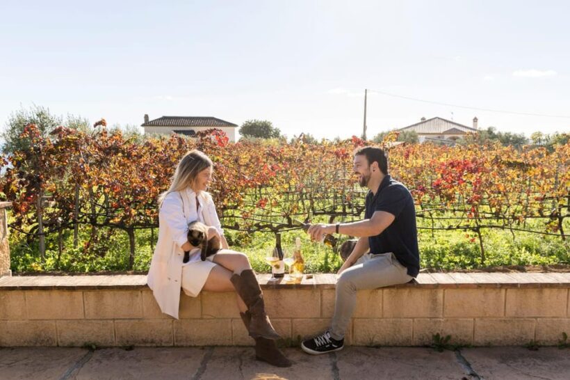 Malaga: Vineyard and Cellar Visit with 6 Top Wines and tapas - Who Should Consider This Tour?