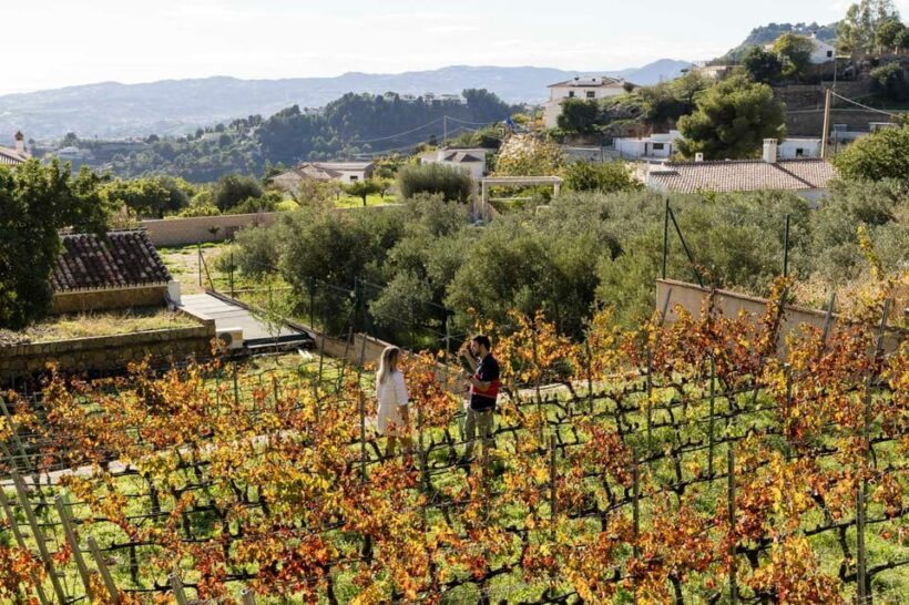 Malaga: Vineyard and Cellar Visit with 6 Top Wines and tapas - Frequently Asked Questions