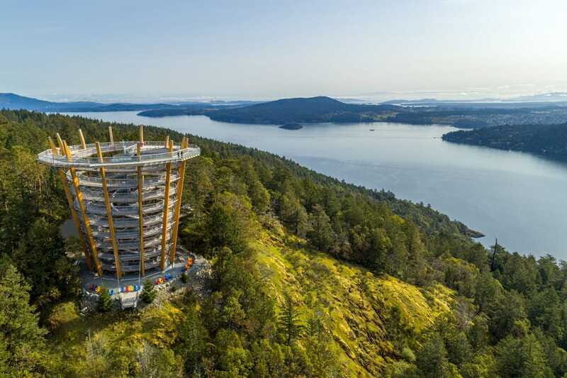 Malahat SkyWalk Ticket - Thrilling Highlights: The Net and the Slide