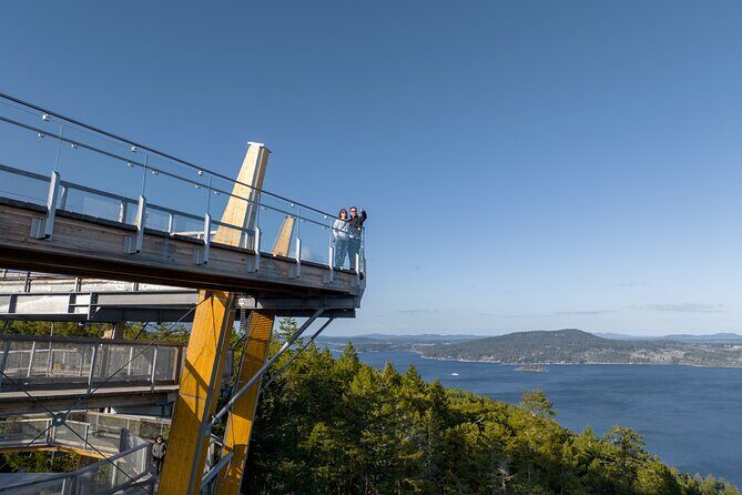 Malahat SkyWalk Tickets - What to Expect from Your Visit