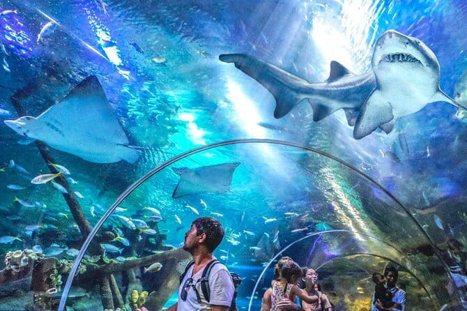 Malaysia: Aquaria KLCC Admission E-Ticket - Key Points