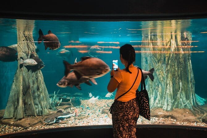 Malaysia: Aquaria KLCC Admission E-Ticket - Who Will Love This Experience?