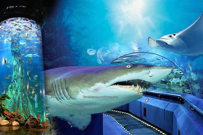 Malaysia: Aquaria KLCC Admission E-Ticket - FAQ