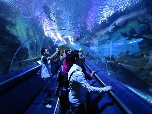 Malaysia: Aquaria KLCC Entry Ticket - Key Points