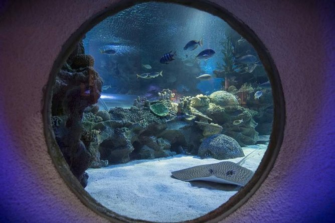 Malaysia: Aquaria KLCC Entry Ticket - Final Thoughts: Who Should Visit?