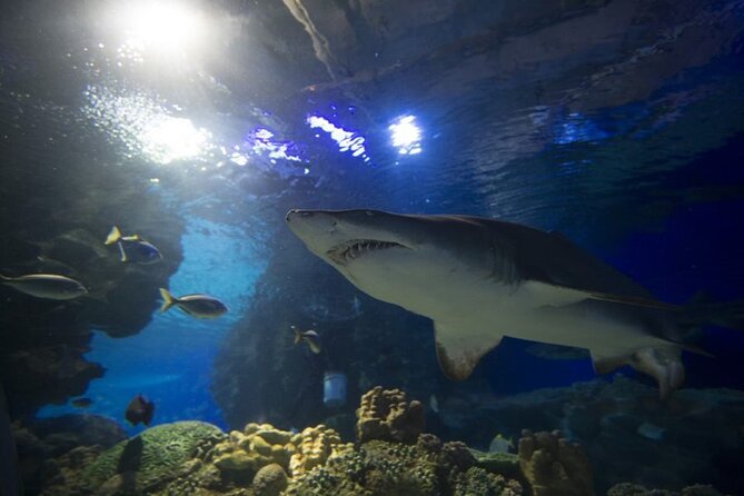 Malaysia: Aquaria KLCC Entry Ticket - FAQ