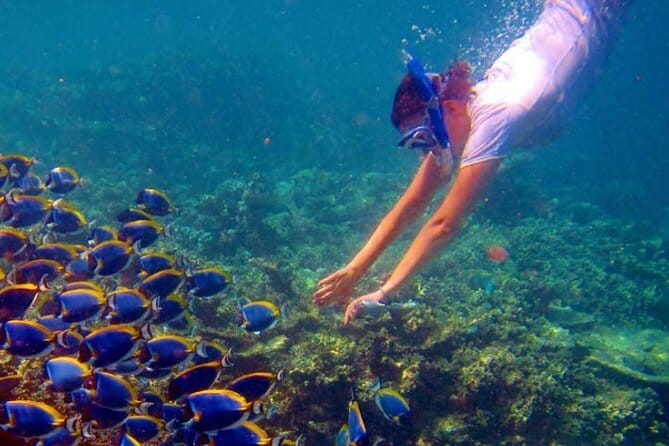 Maldives Adventure Trip - FAQ