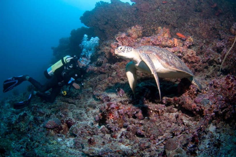 Maldives: Discover Scuba Diving - Introduction