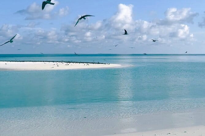 Maldives Dreams A Photoshoot of Love & Laughter with Island Todo - Frequently Asked Questions